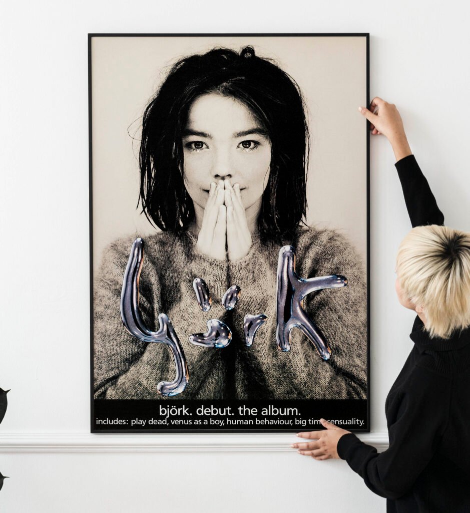 Bjork – Debut 1993 Promotional Album Poster – pulpposter.com